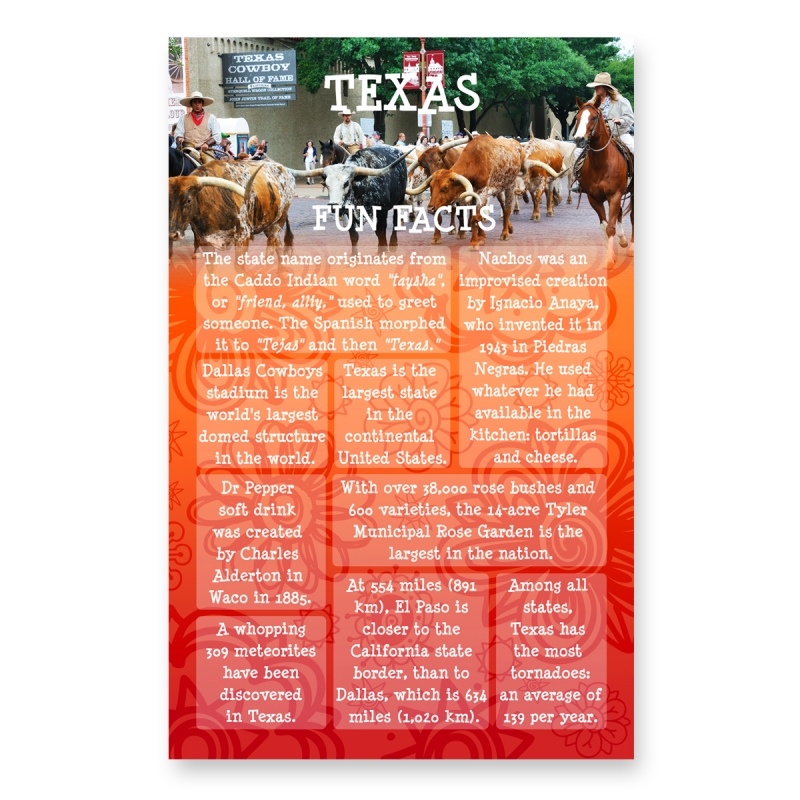 Texas Fun Facts postcard